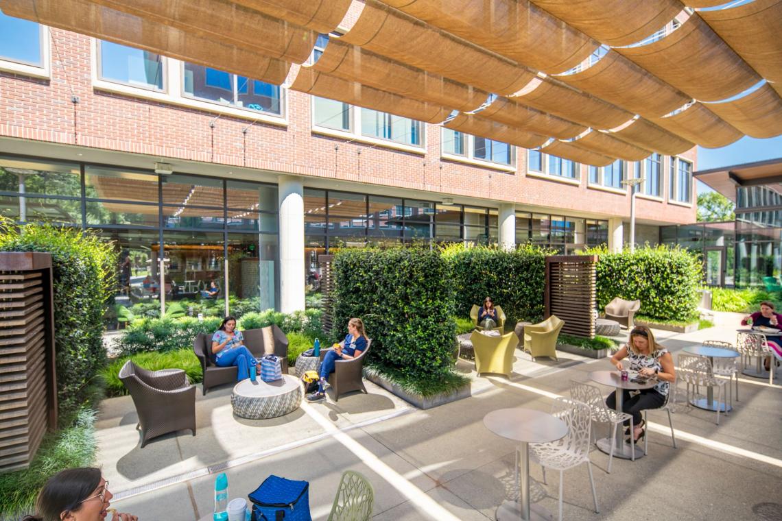 Images: Design of largest hospital project in GA history aims to heal ...