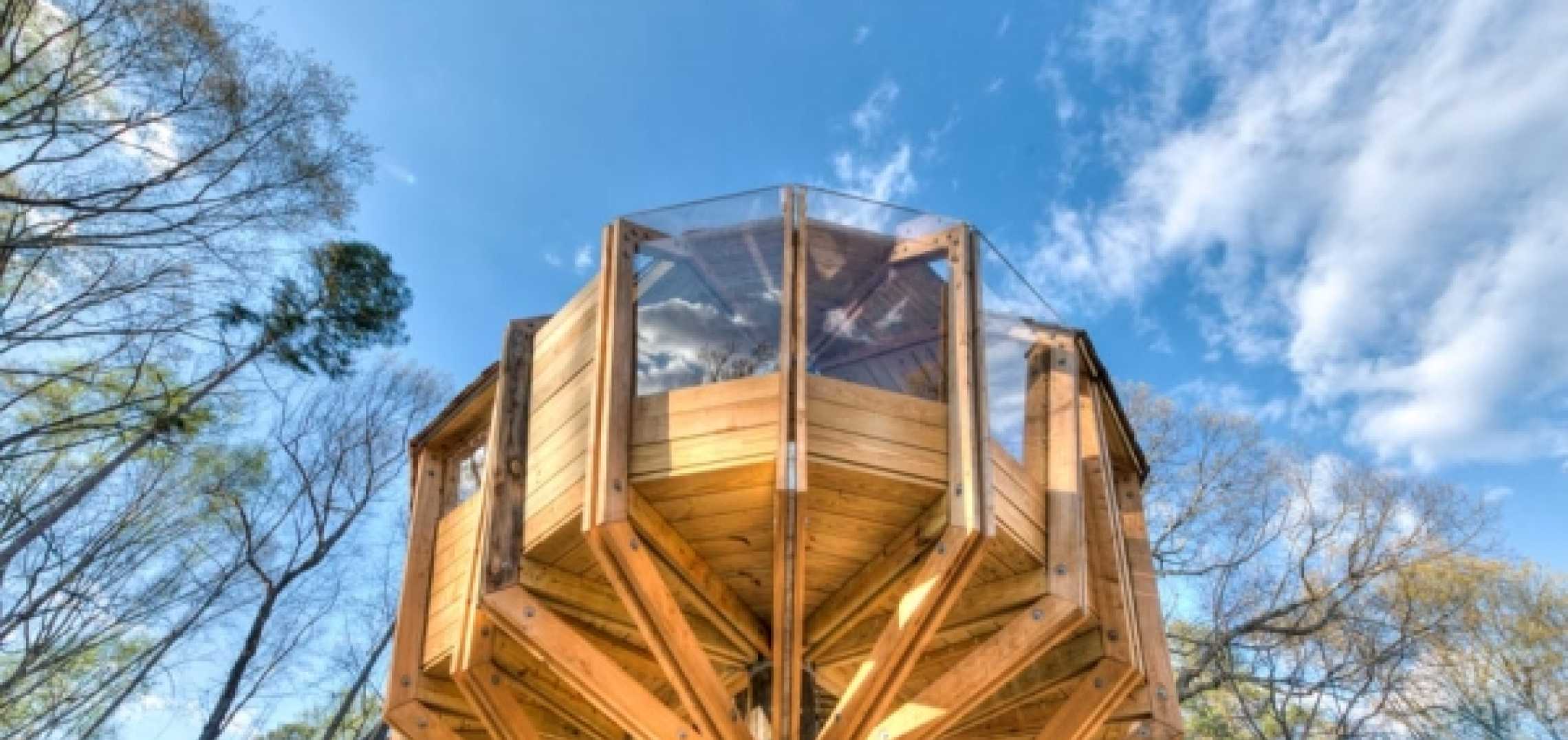 Fire torches beloved Chastain Park treehouse; leaders vow to rebuild ...